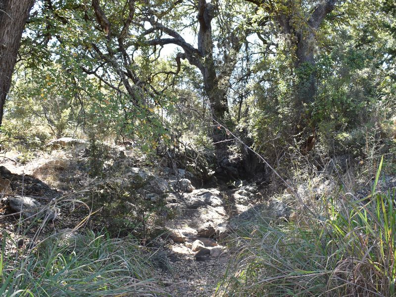 A hidden breezeway along an unwalked path | Smithsonian Photo Contest ...