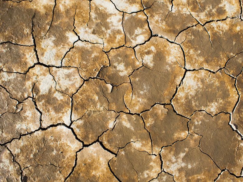 Cracked earth | Smithsonian Photo Contest | Smithsonian Magazine