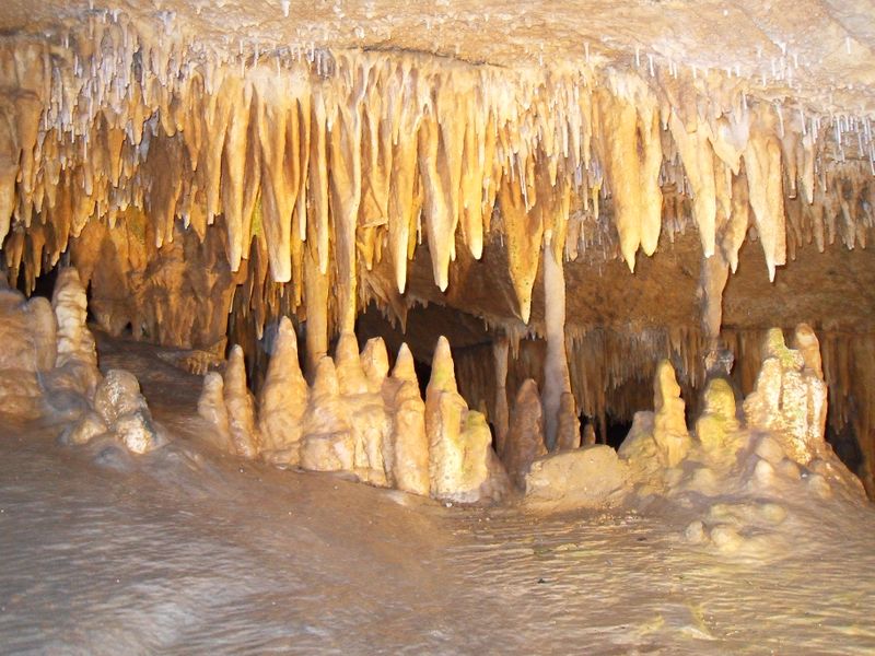Cave Shark Teeth | Smithsonian Photo Contest | Smithsonian Magazine