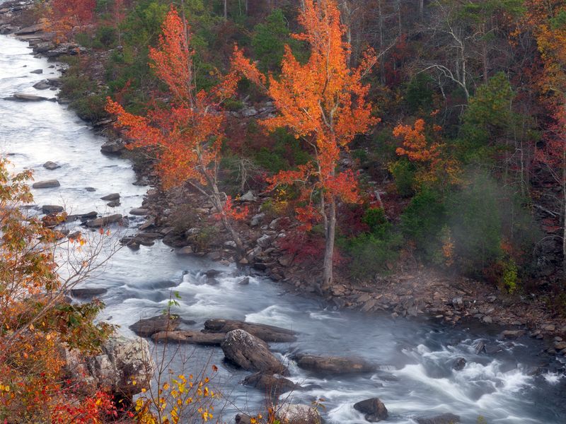 Autumn Mist | Smithsonian Photo Contest | Smithsonian Magazine