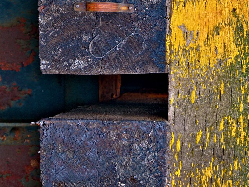 This is one of the series, entitled, "Beauty in Decay." | Smithsonian ...