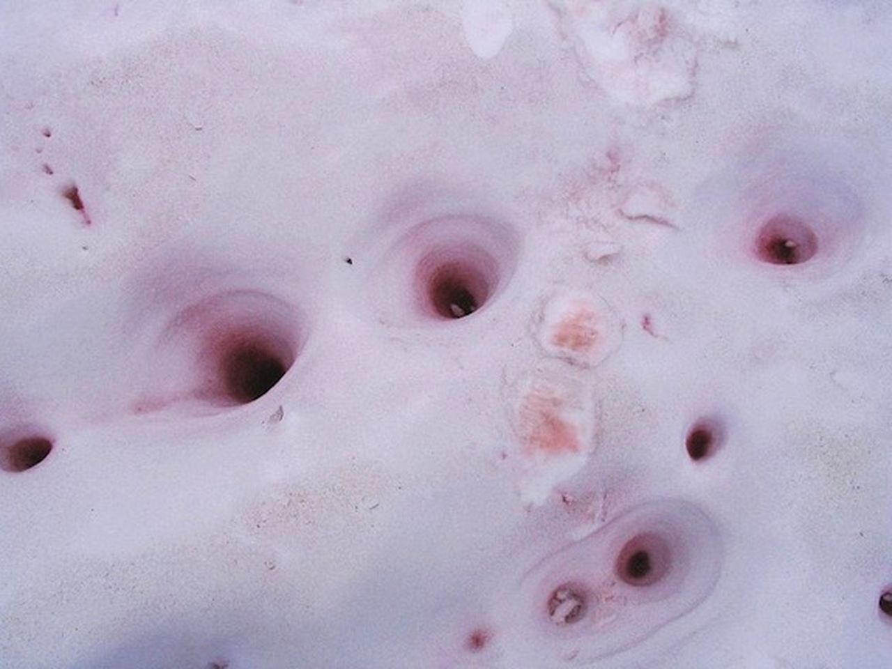 What Is Blood Snow