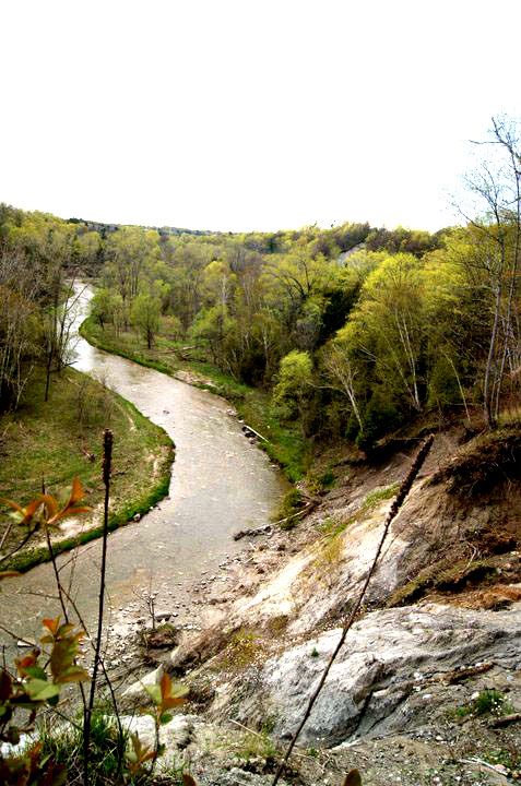 Reaching the peek of one of many trails located in the Rouge River ...