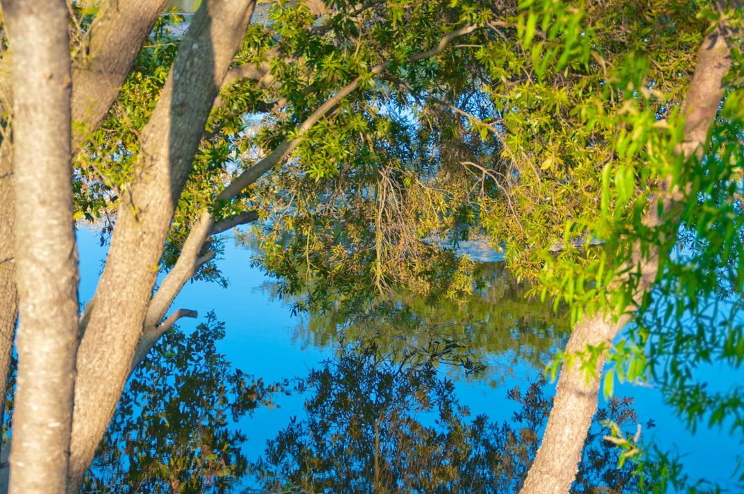 Army boot camp graduation at Fort Jackson- Pentax K20D | Smithsonian ...