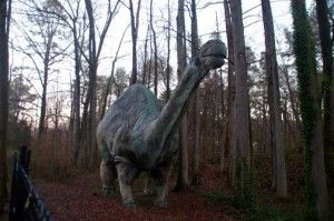 Dinosaur Tracking | Smithsonian Magazine