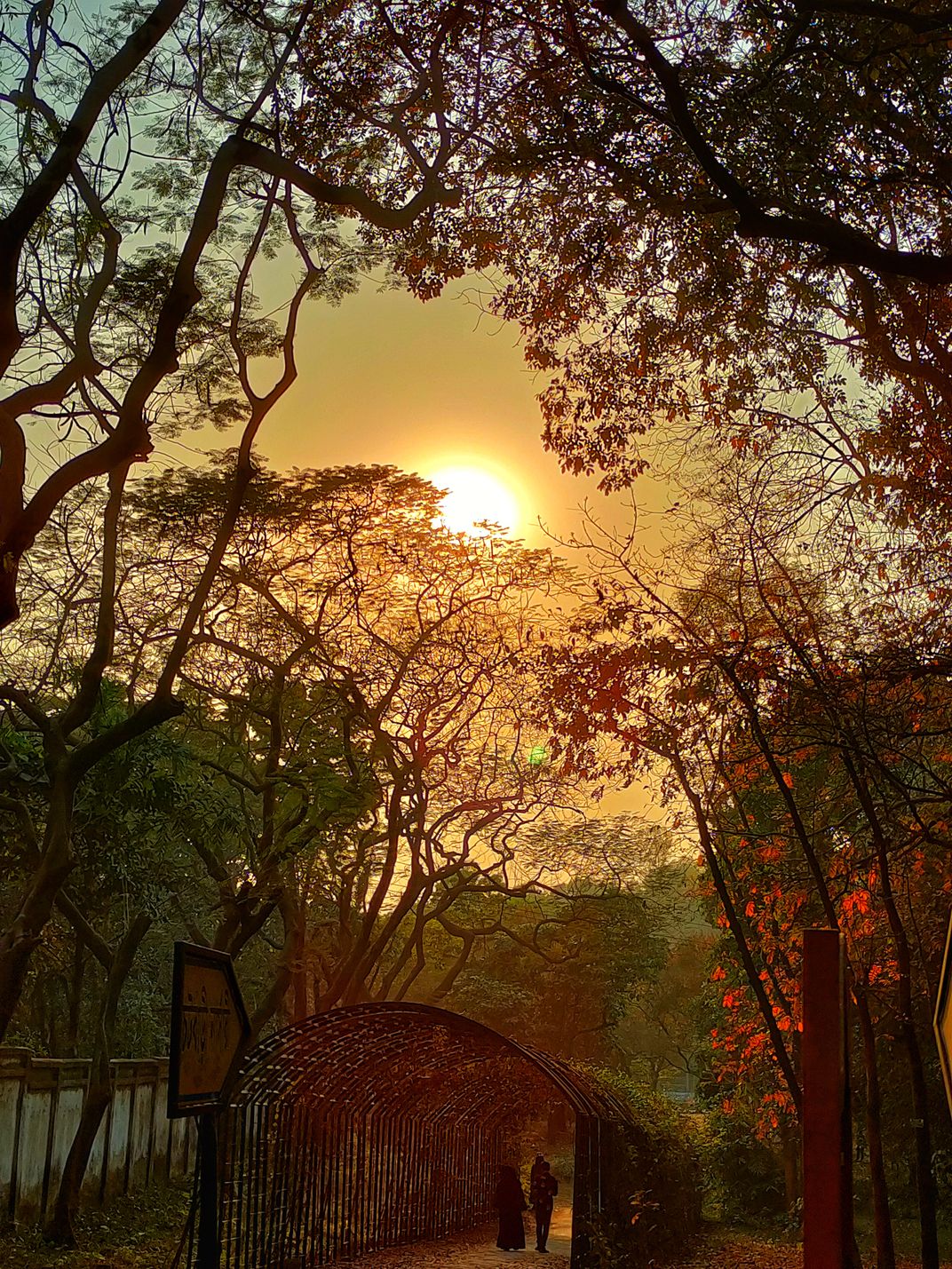 Simran Hossain | Smithsonian Photo Contest | Smithsonian Magazine