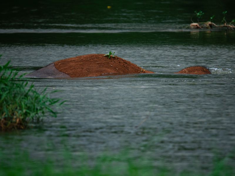 Moving Islands | Smithsonian Photo Contest | Smithsonian Magazine