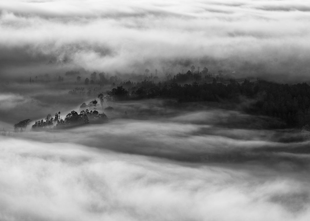 Wind Stalker | Smithsonian Photo Contest | Smithsonian Magazine
