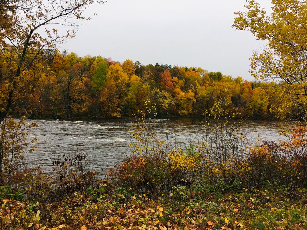 Fall Peace | Smithsonian Photo Contest | Smithsonian Magazine