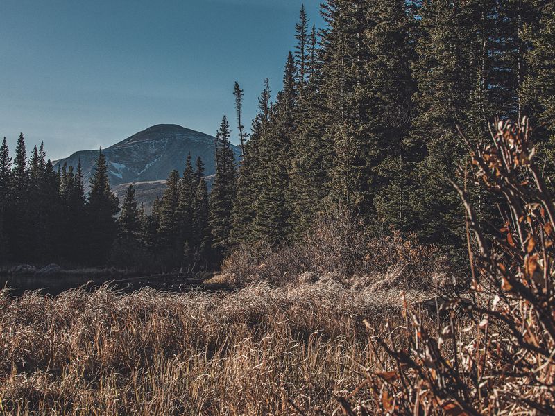 Mountain View from Red Rock Lake, Ward, Colorado | Smithsonian Photo ...
