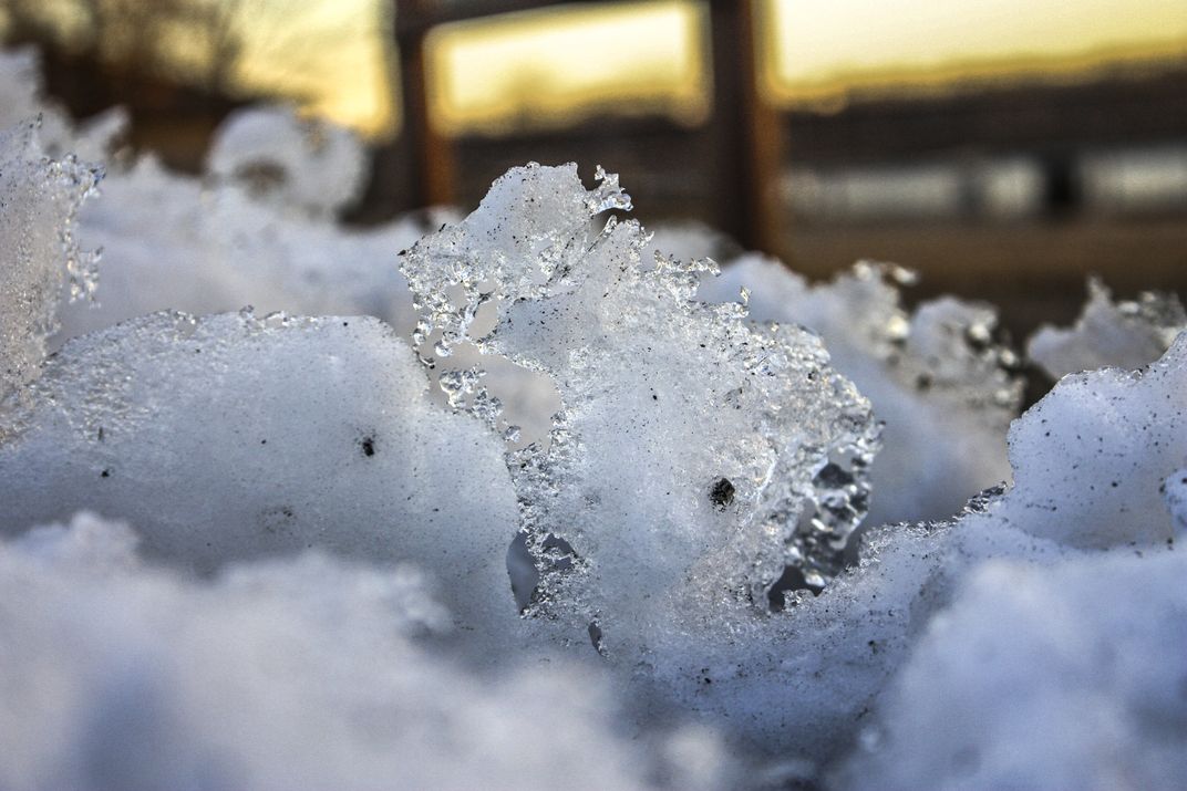 A vibrate sunset through a snowflake | Smithsonian Photo Contest ...