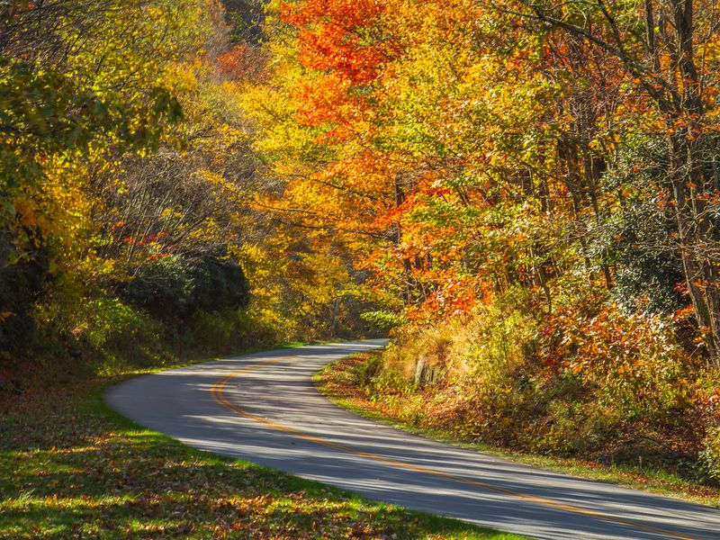 Fall on the Blue Ridge Parkway | Smithsonian Photo Contest ...