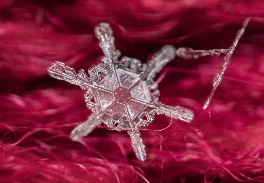 Snowflake in Maine | Smithsonian Photo Contest | Smithsonian Magazine