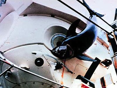 Articles | Smithsonian Magazine