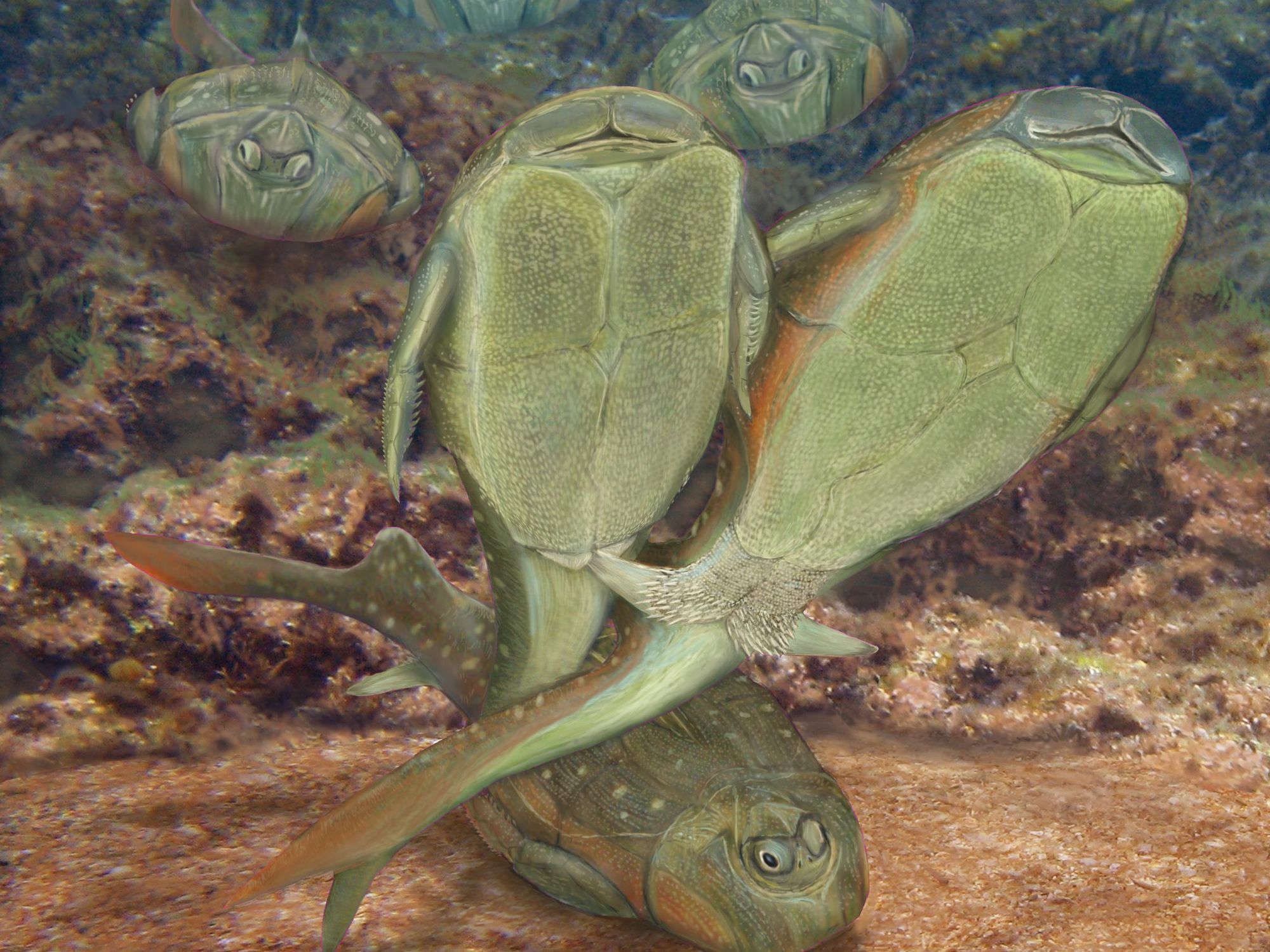 A Very Ancient Group of Jawed Fish Were Having Surprisingly Intimate ...
