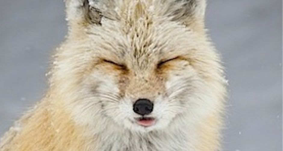 Q&A with Jess Findlay, Nature’s Best Youth Photographer of the Year