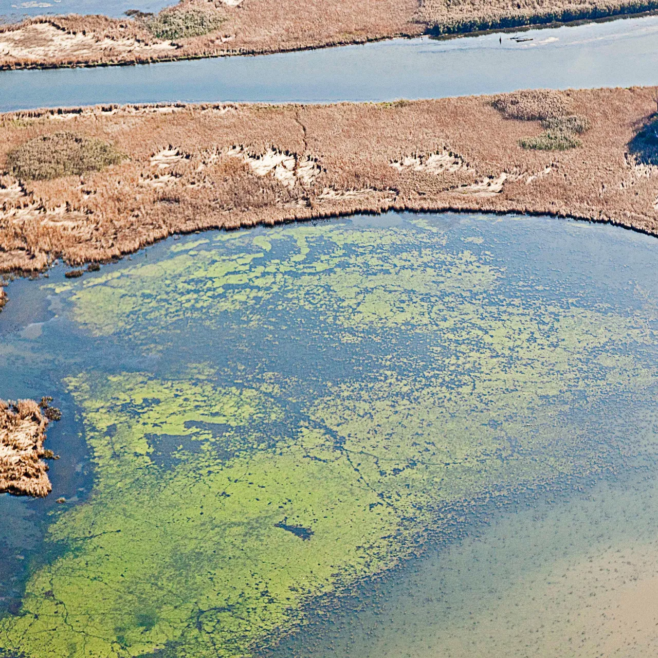 What Are Dead Zones In The Ocean