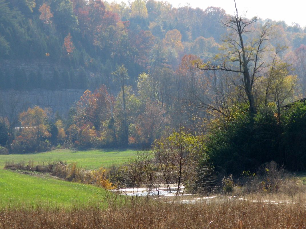 Stream in Gradyville, KY | Smithsonian Photo Contest | Smithsonian Magazine