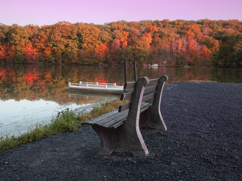 Park bench over looking an emptieness of the lake | Smithsonian Photo ...