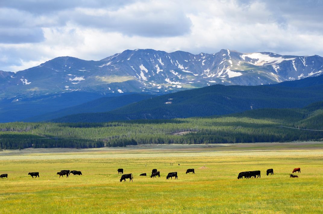 Beauty among the Rockies | Smithsonian Photo Contest | Smithsonian Magazine