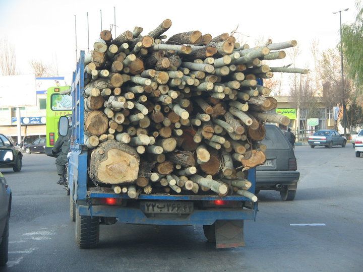 a car transporting cutted trees | Smithsonian Photo Contest ...