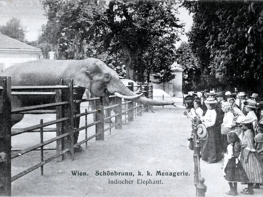 ancient zoos