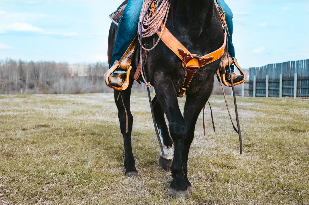 Riding Rooster | Smithsonian Photo Contest | Smithsonian Magazine