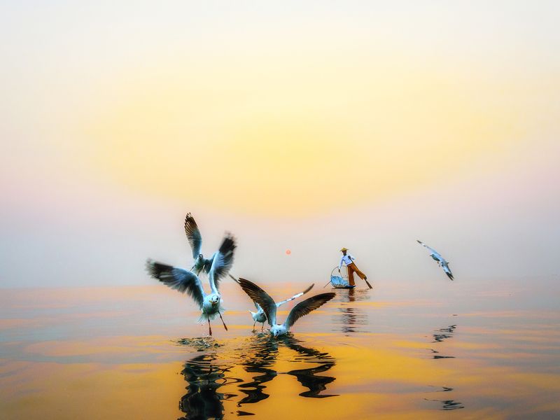 Life in water | Smithsonian Photo Contest | Smithsonian Magazine