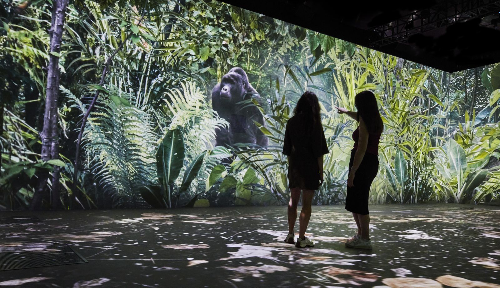 Explore the History of the Planet With David Attenborough at This New ...