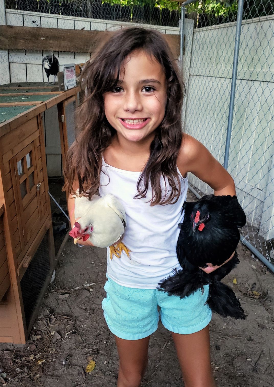 a girl's love for her chickens. | Smithsonian Photo Contest ...