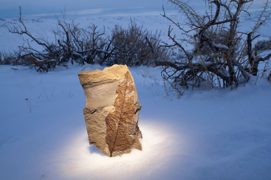 eocene climate change