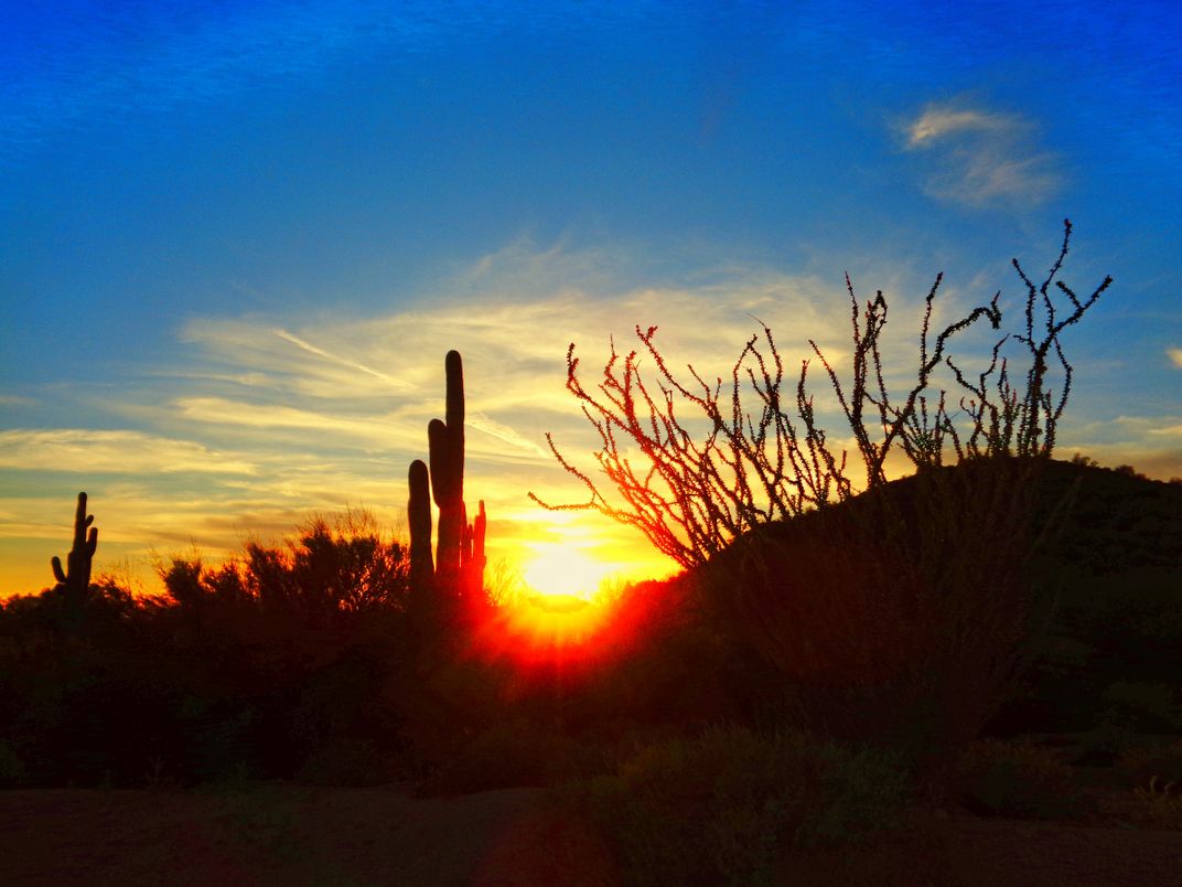 Sunset in the Desert | Smithsonian Photo Contest | Smithsonian Magazine
