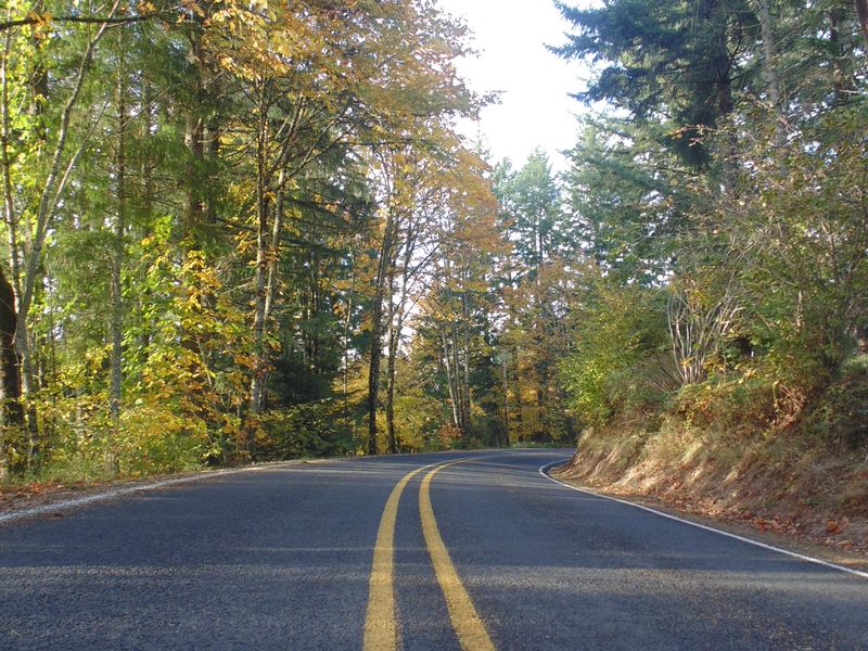 The Road That Curves | Smithsonian Photo Contest | Smithsonian Magazine