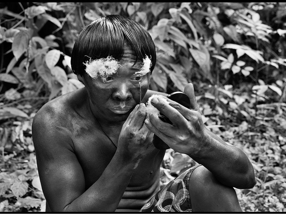 Sebastião Salgado Has Seen the Forest, Now He's Seeing the Trees