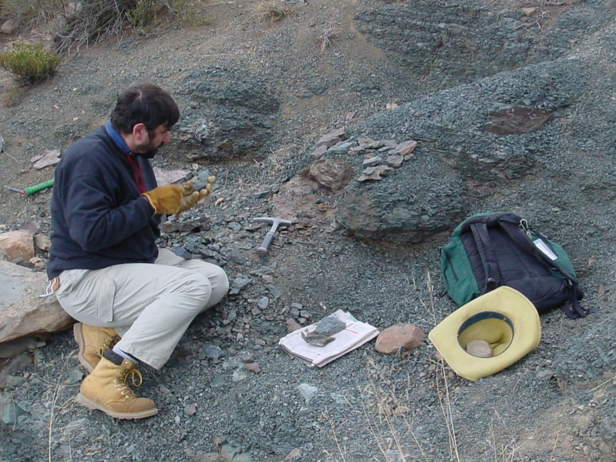 National Museum of Natural History Scientists Discover That Ancient ...