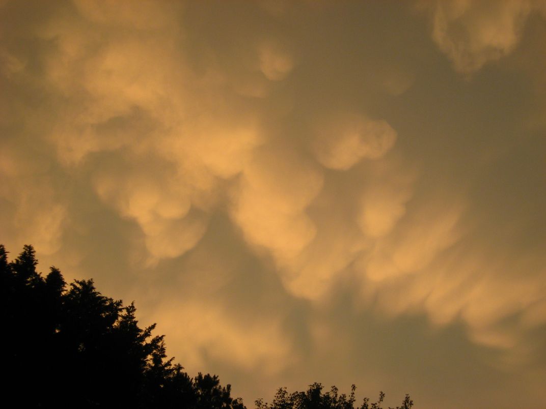 Mid summer evening sky | Smithsonian Photo Contest | Smithsonian Magazine