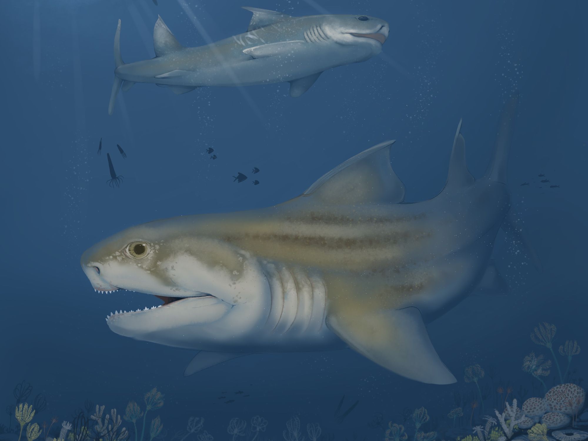 Paleontologists Discover Two New Shark Species From Fossils in Mammoth ...