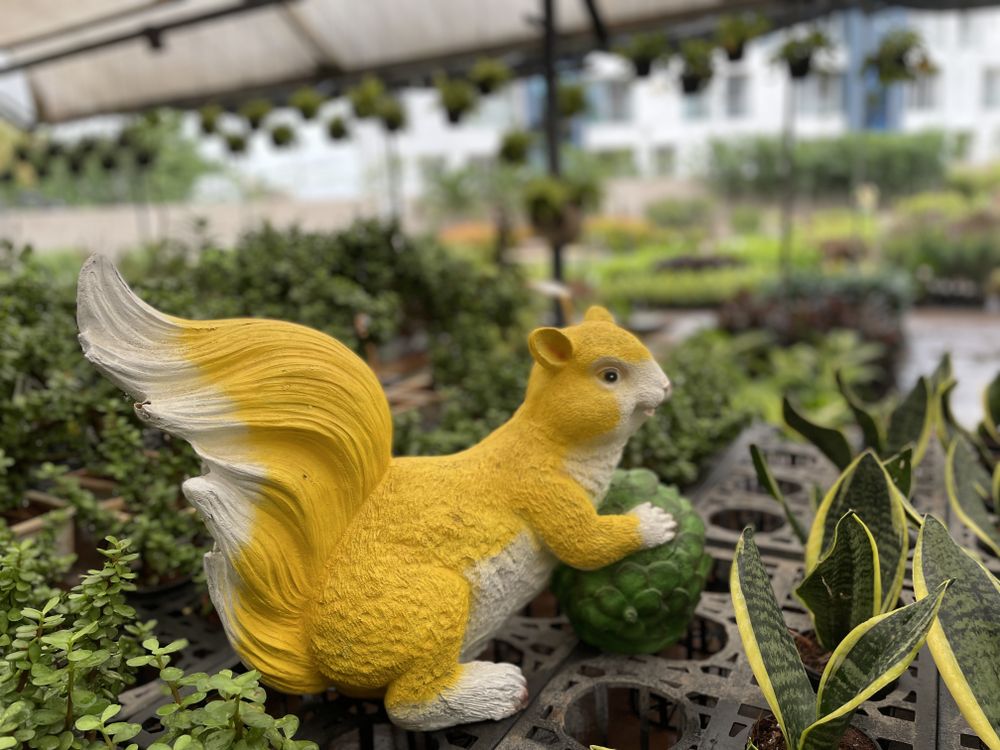 Yellow Squirrel with a Tiny Green Plant | Smithsonian Photo Contest ...