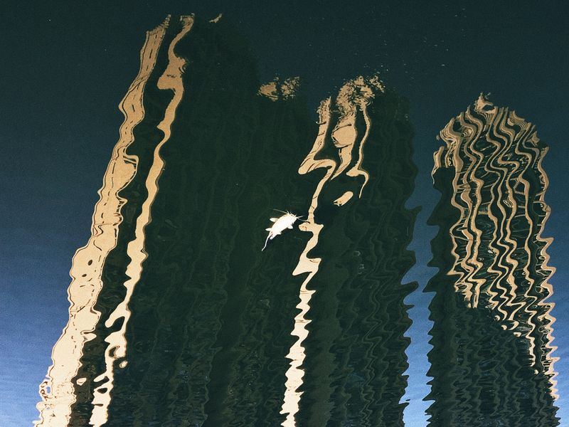 The Shape Of Lake | Smithsonian Photo Contest | Smithsonian Magazine