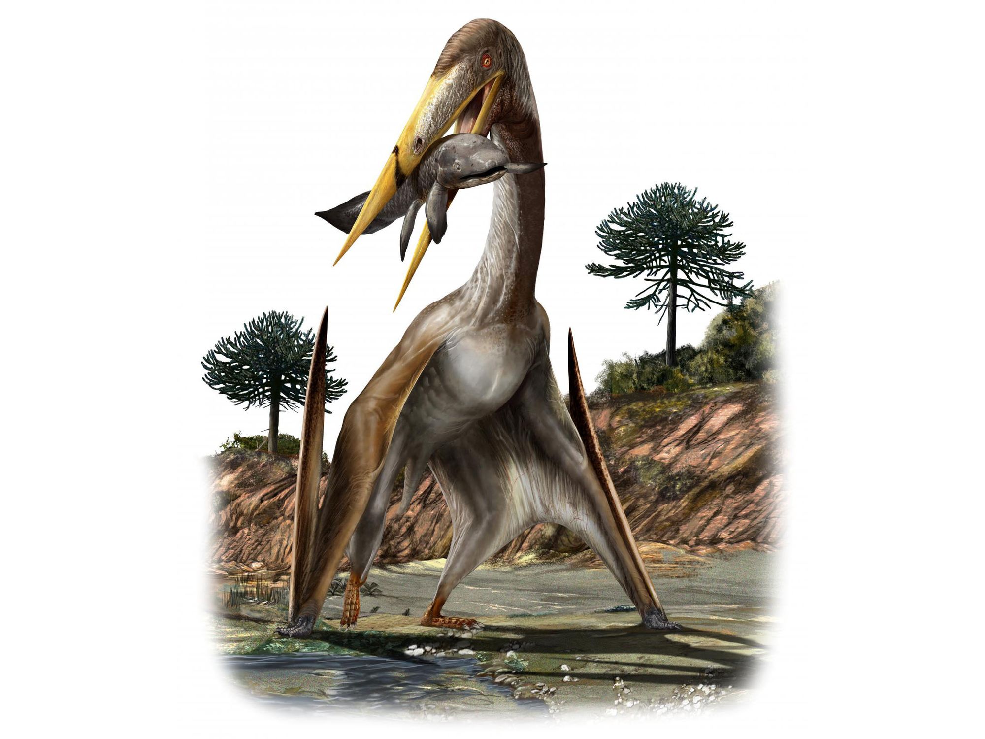 Unique Bone Structure Helped Long-Necked Pterosaurs Fly