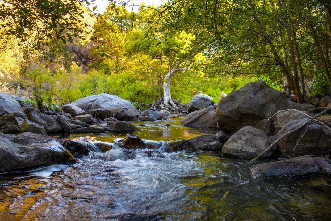 A summer afternoon by the river in Sequoia National Park. | Smithsonian ...
