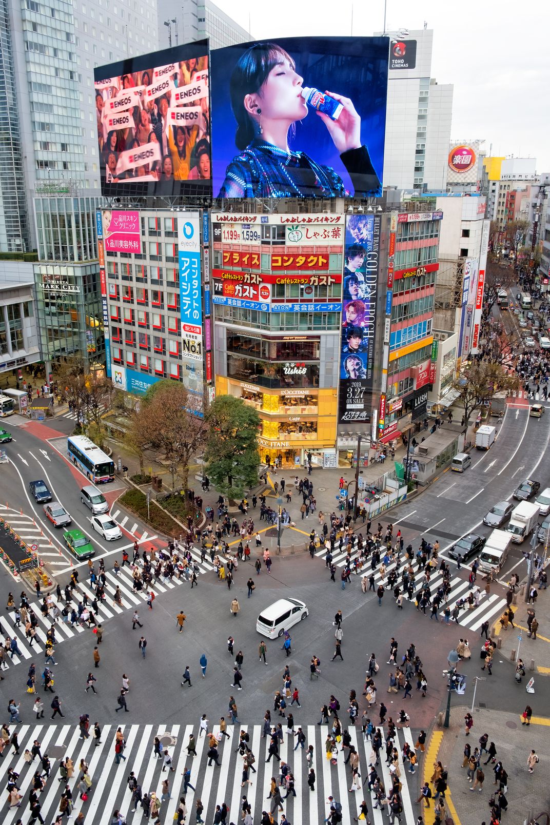 Shibuya Crossing, Tokyo, Japan | Smithsonian Photo Contest ...