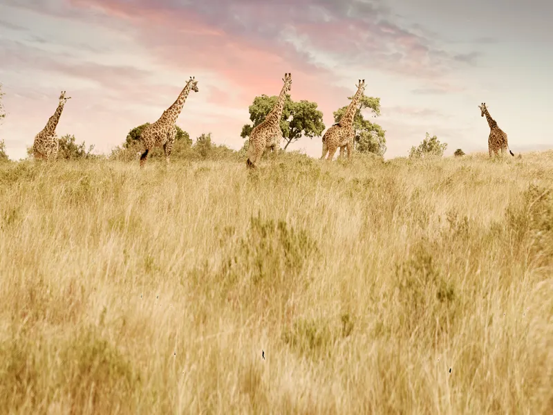 Our team | Smithsonian Photo Contest | Smithsonian Magazine