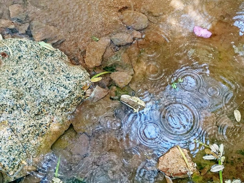 Vibrations of water | Smithsonian Photo Contest | Smithsonian Magazine