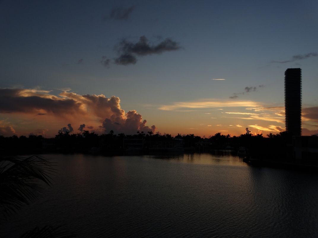 One of those mornings in South Florida | Smithsonian Photo Contest ...