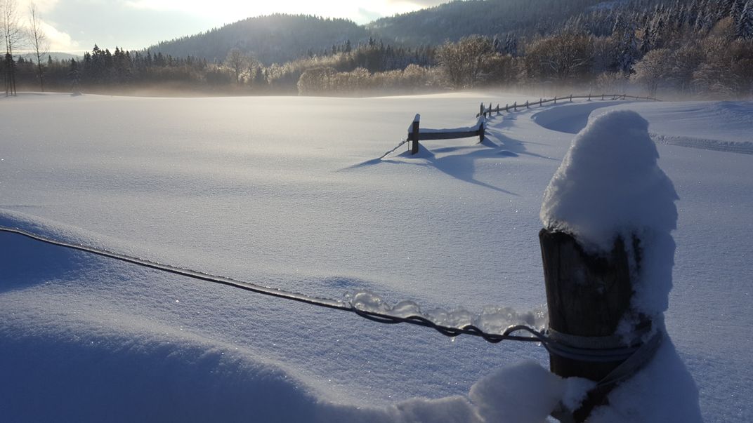 Snow & ice on the field | Smithsonian Photo Contest | Smithsonian Magazine