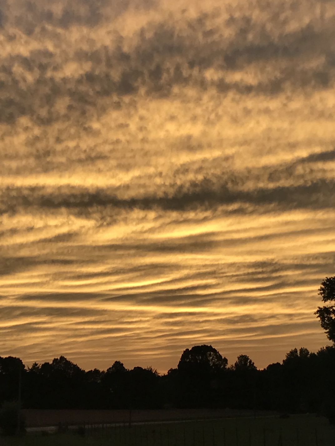 Warm Rippled Clouds | Smithsonian Photo Contest | Smithsonian Magazine