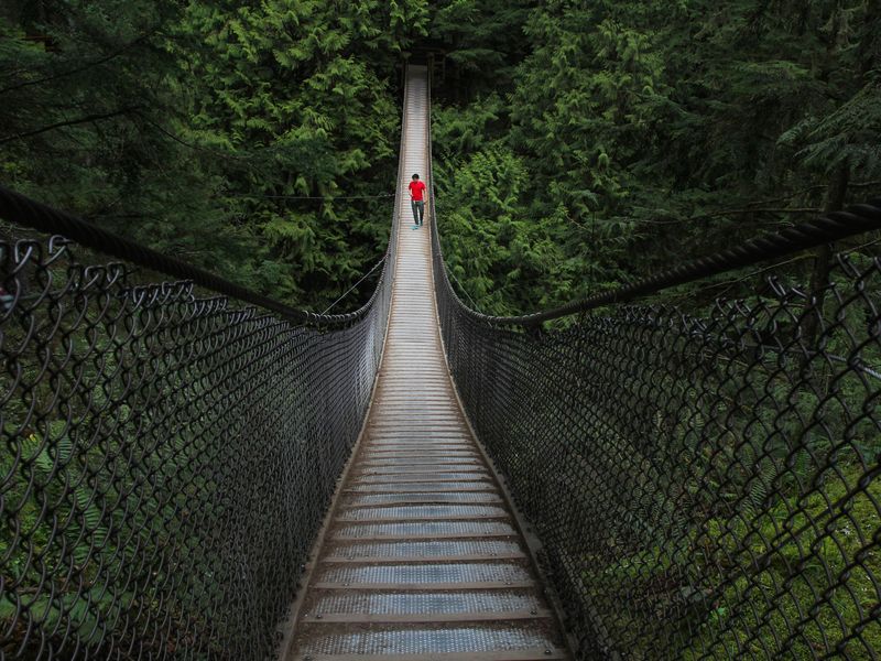 That man on the hanging bridge | Smithsonian Photo Contest ...
