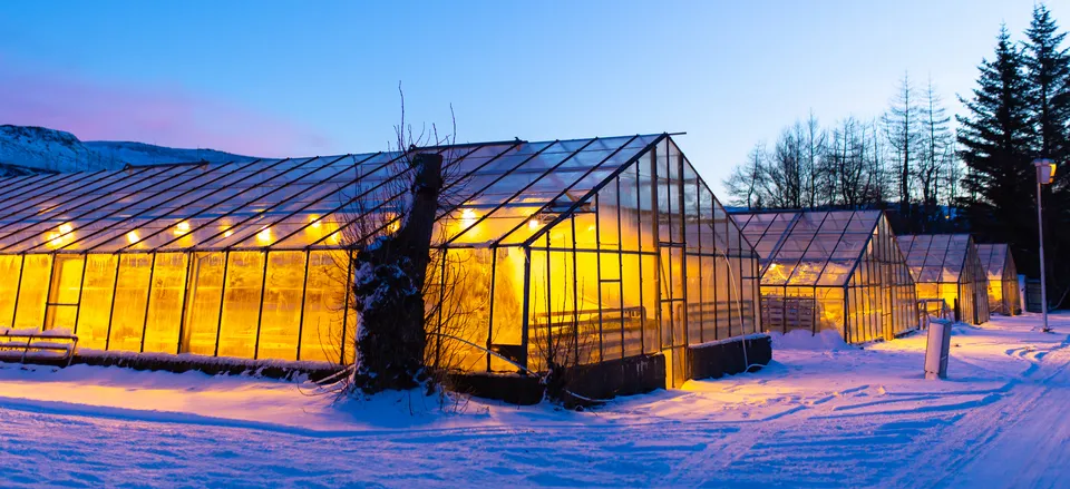 Iceland in Winter: An Active Journey in Search of the Northern Lights ...
