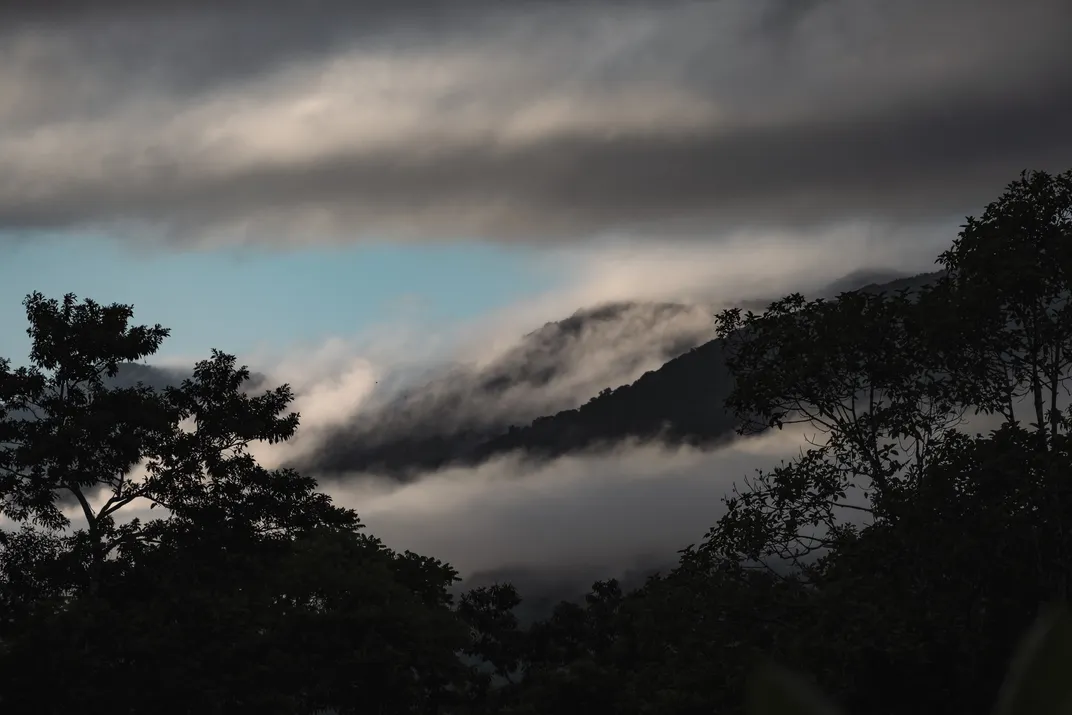 Cloudy rainforest | Smithsonian Photo Contest | Smithsonian Magazine